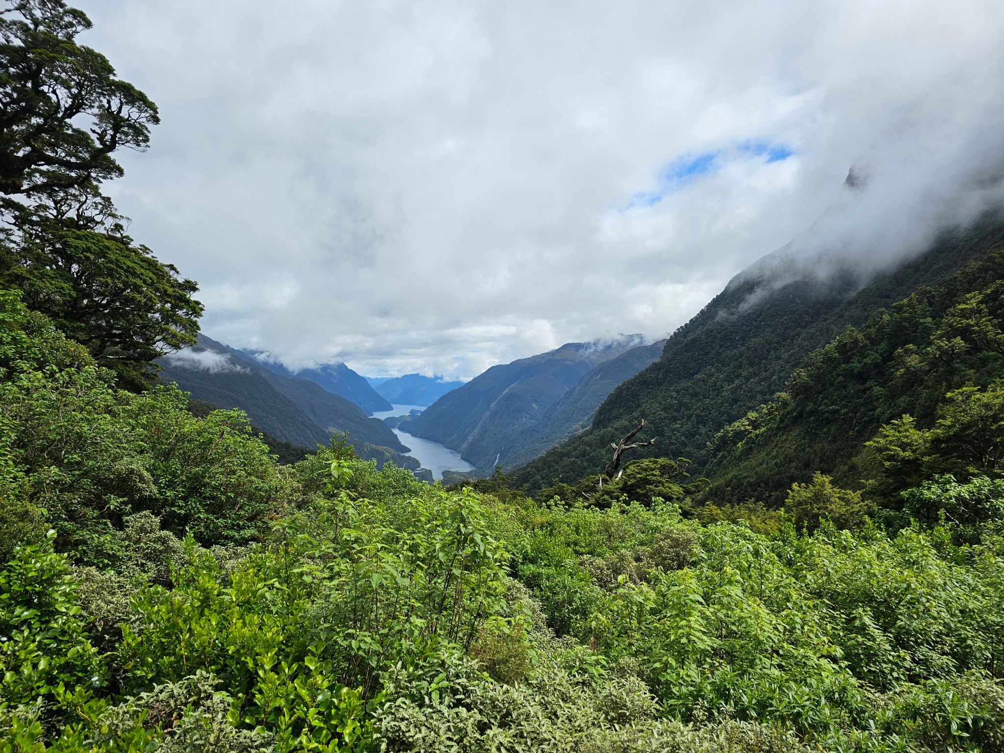 A Land Before Time: The Primordial Beauty of Doubtful Sound – Swifty ...