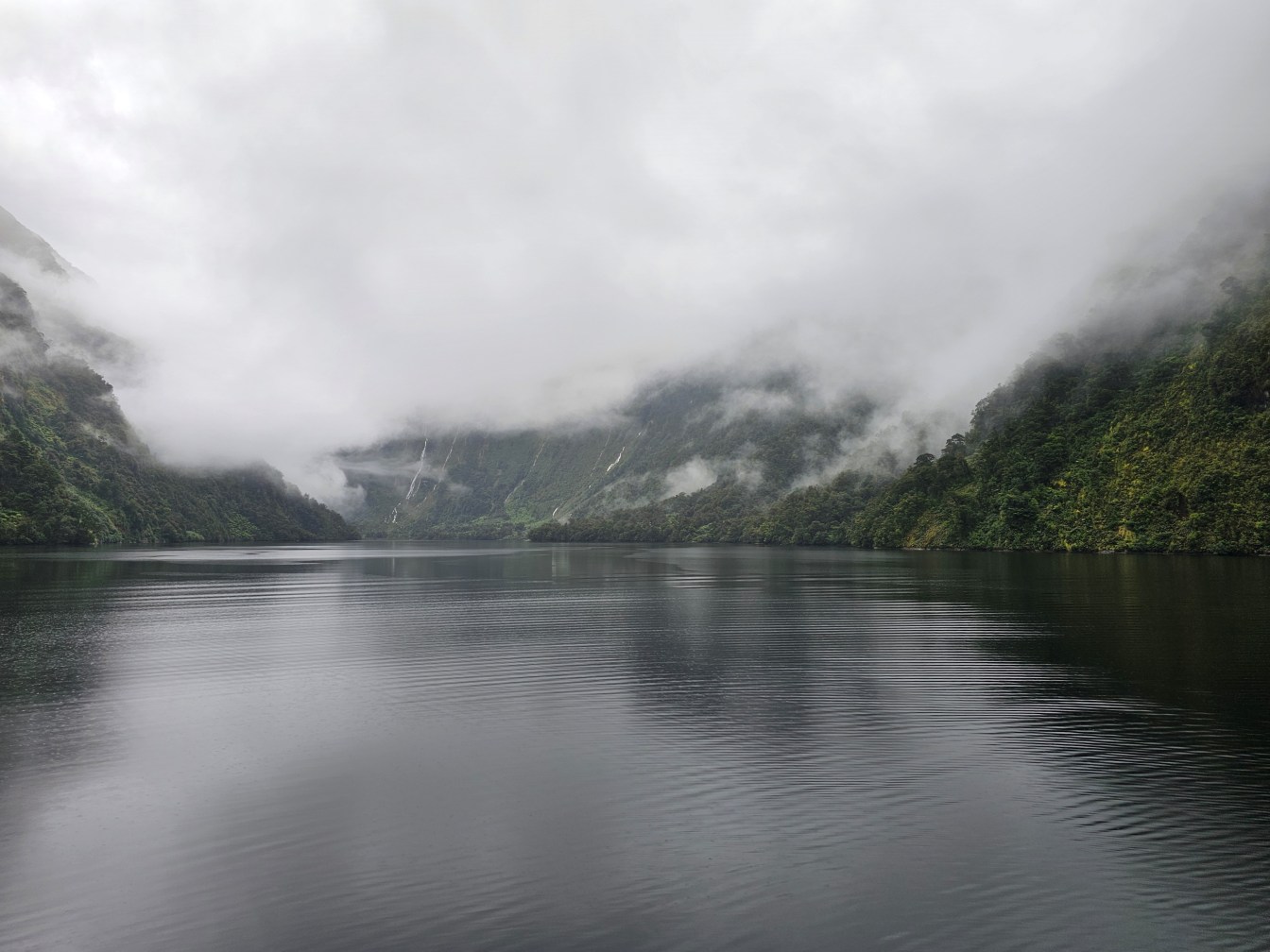 A Land Before Time: The Primordial Beauty of Doubtful Sound – Swifty ...